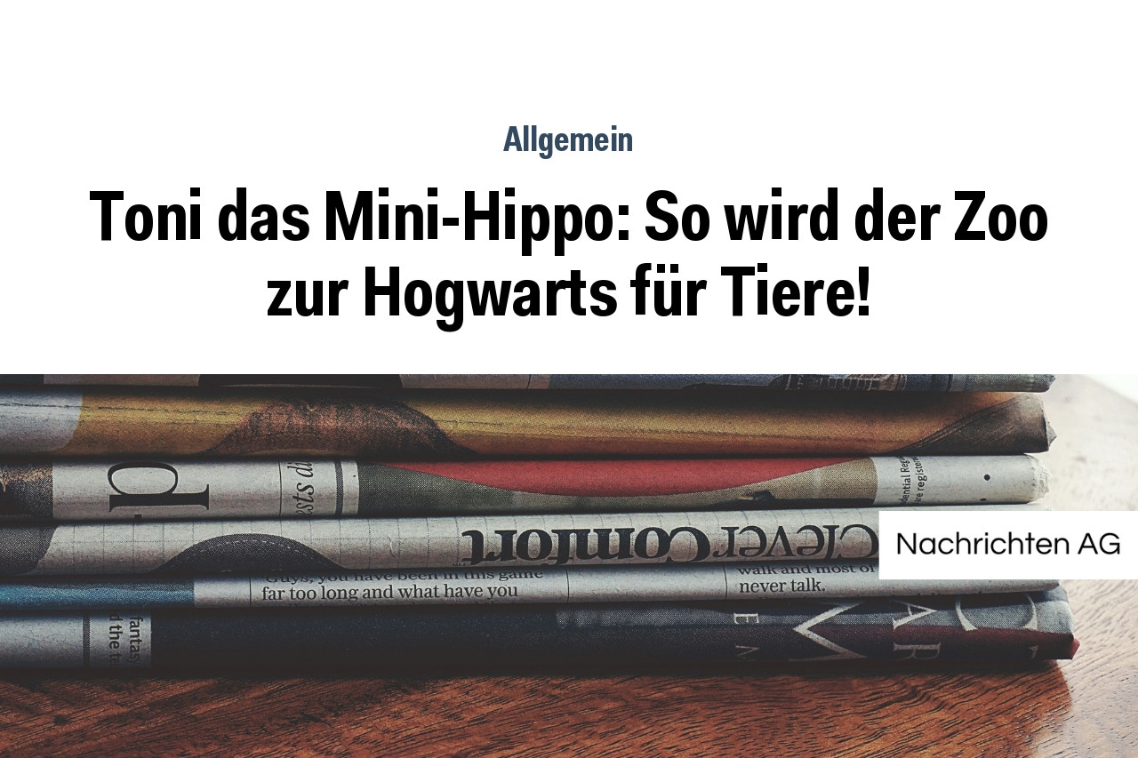 Toni das Mini-Hippo: So wird der Zoo zur Hogwarts für Tiere!